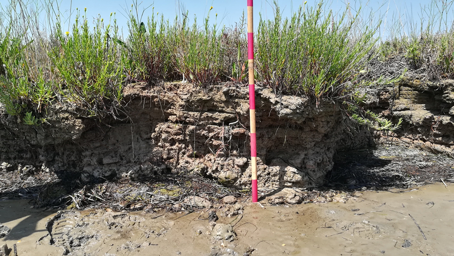 Tematica 3 - Venezia2021